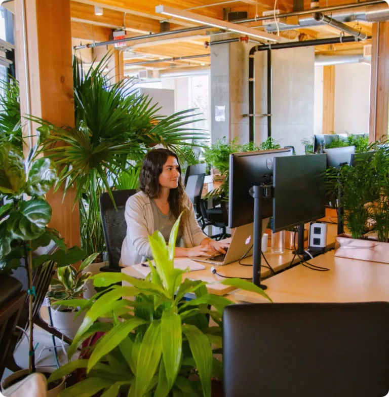 About Us & Our Company | Brandlive